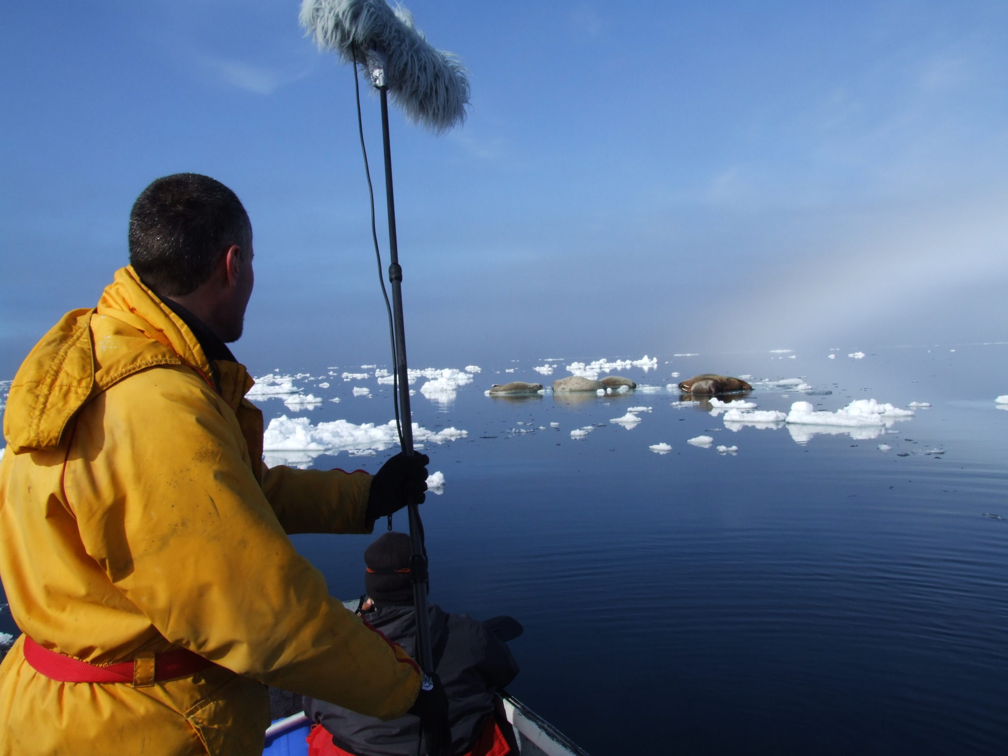 LES ANIMAUX PARLENT. Sachons les écouter. ⋆ Savoir Animal