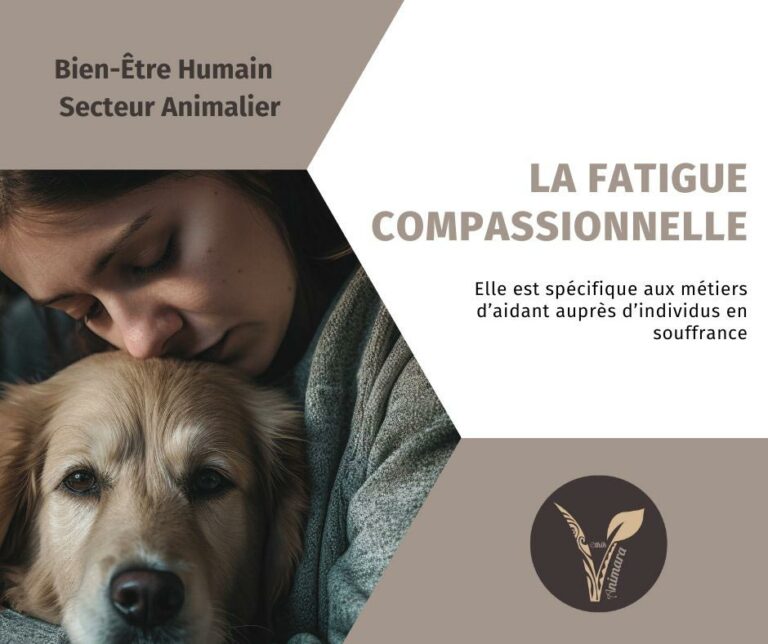 La fatigue compassionnelle des professionnels ⋆ Savoir Animal