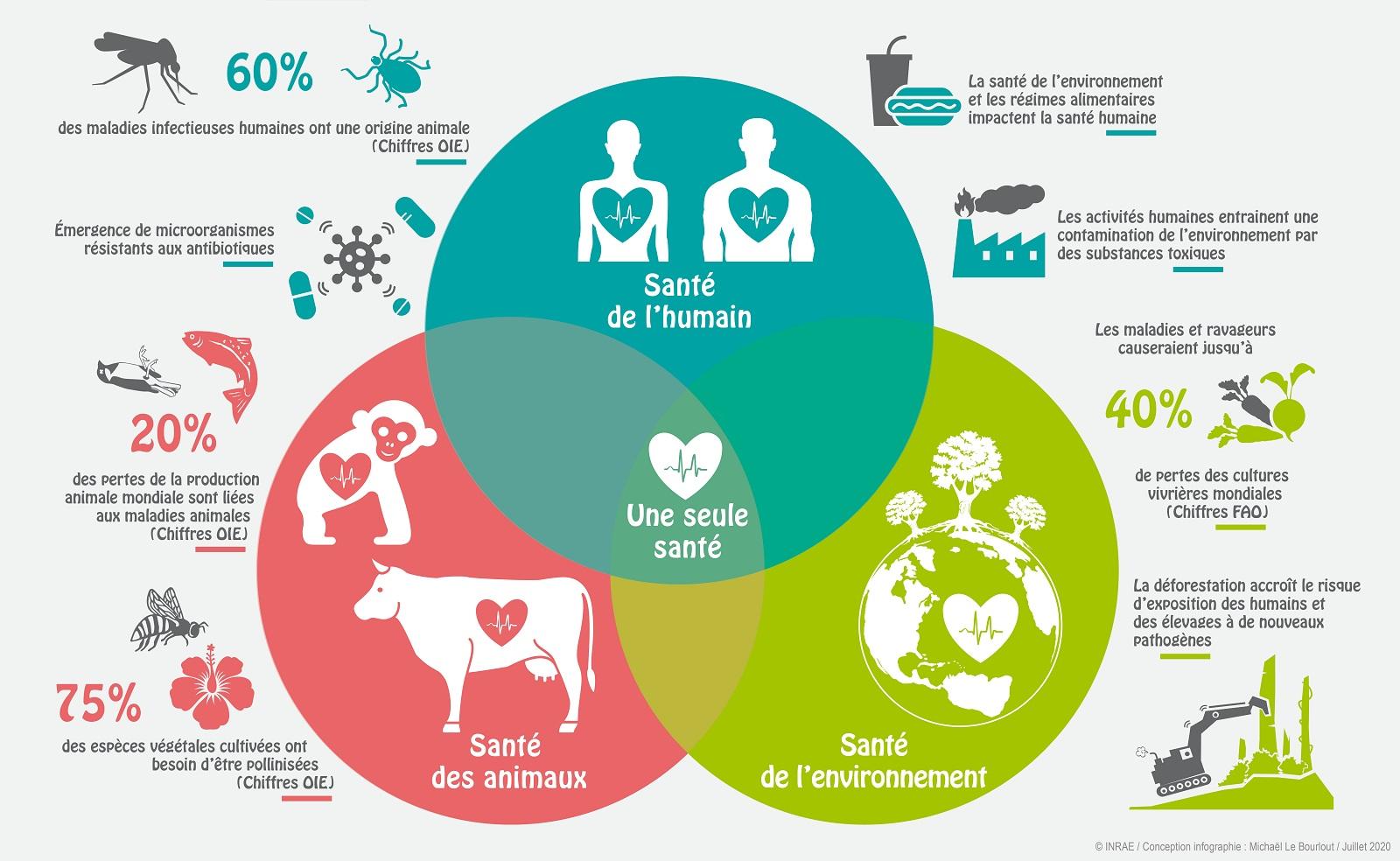 Questions posées à Jean-Luc ANGOT ⋆ Savoir Animal