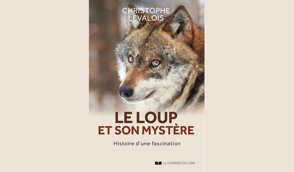 Le loup et nous - Une histoire qui vient de très loin ! ⋆ Savoir Animal