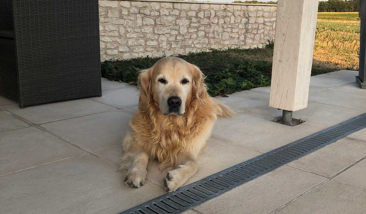 Mon Barth, ma boule de misère ! ⋆ Savoir Animal