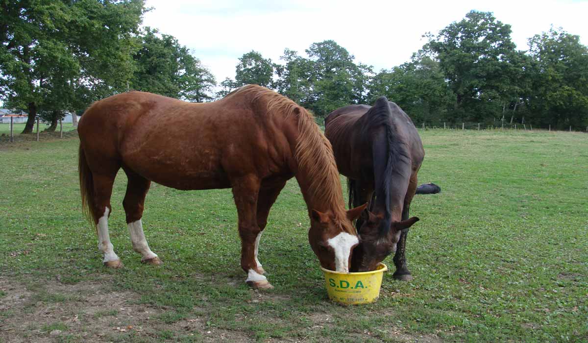 Œuvre de Pech Petit – Josette et Jean Boon : présentation de son action ...
