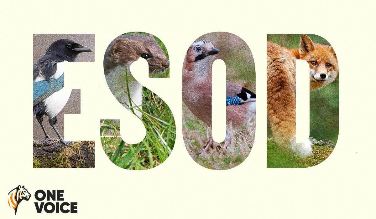 One Voice demande l’annulation totale de l’arrêté listant les espèces ...