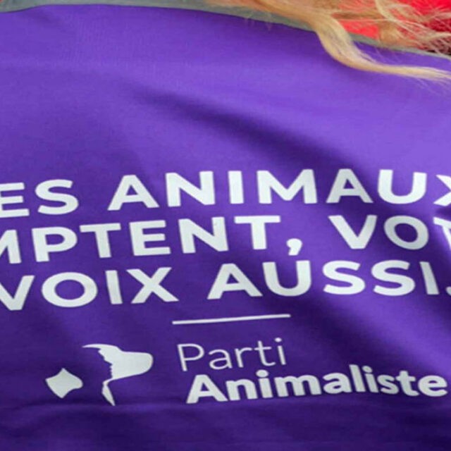 Le parti animaliste : un programme ambitieux pour les animaux ⋆ Savoir ...