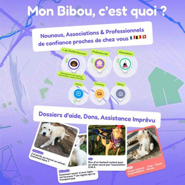 Les avantages de Mon Bibou ⋆ Savoir Animal