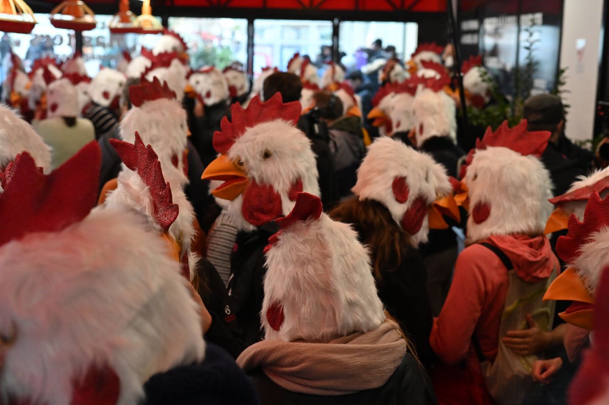 Questions posées à Jean-Luc ANGOT ⋆ Savoir Animal