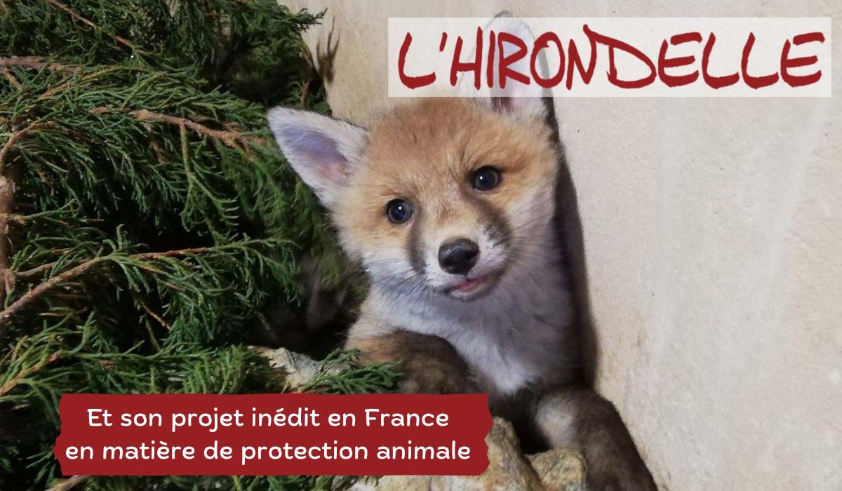 Un projet inédit en France en matière de protection animale ! ⋆ Savoir ...