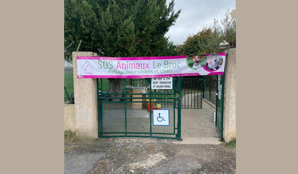 Sos Animaux Le Broc : c’est ici que commence leur seconde chance ⋆ ...