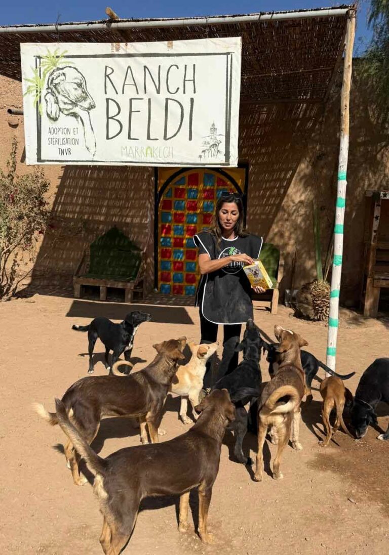 Le Ranch de Beldi à Marrakech. Deux femmes, une mission : refuser l ...