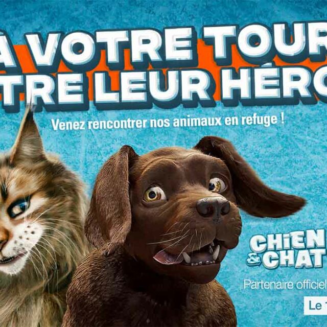 Portes Ouvertes de la SPA - 13 et 14 juin / L'été à poils commence ici ...