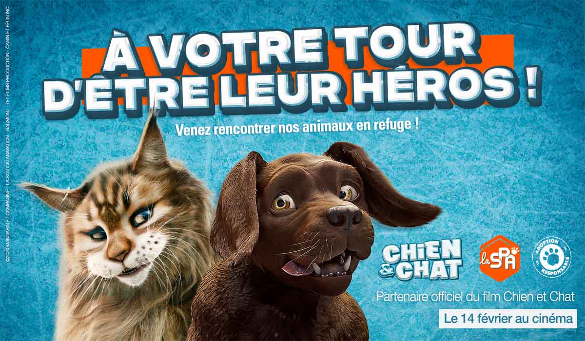 La SPA s'associe avec le film "CHIEN ET CHAT" pour promouvoir l ...