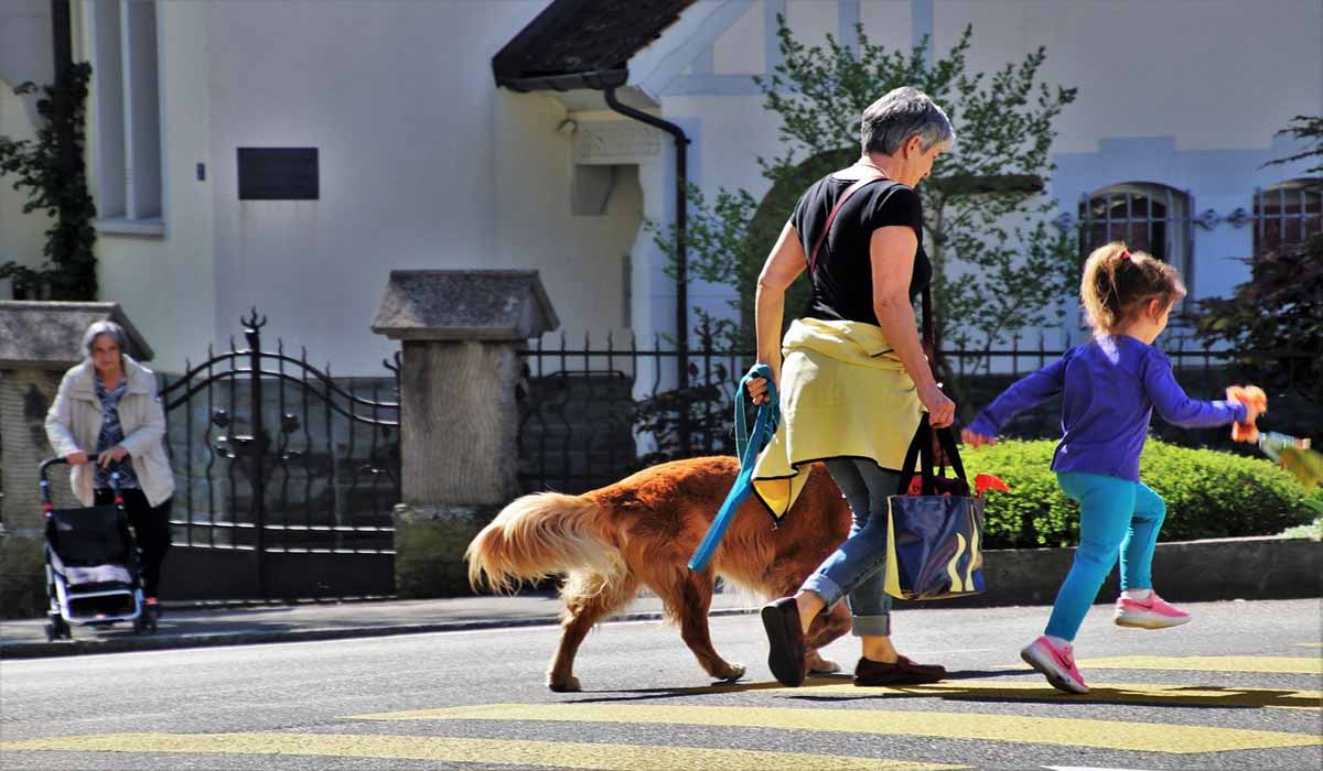 Publication du top 10 des villes qui agissent pour les animaux ⋆ Savoir ...